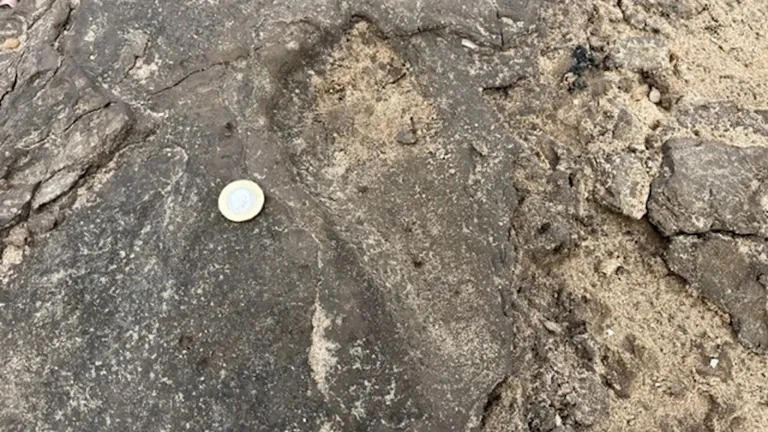 Archaeologists uncover a forgotten superhighway covered with 8,000-year ...