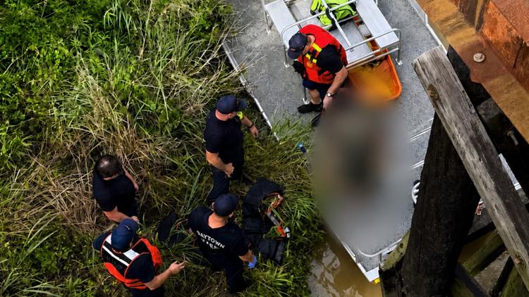 Firefighters rescue 13-year-old girl found clinging to tree in Houston ...
