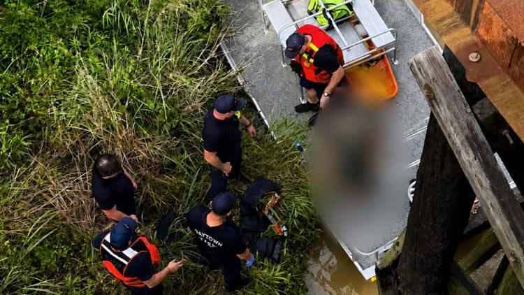 Firefighters rescue 13-year-old girl found clinging to tree in Houston ...