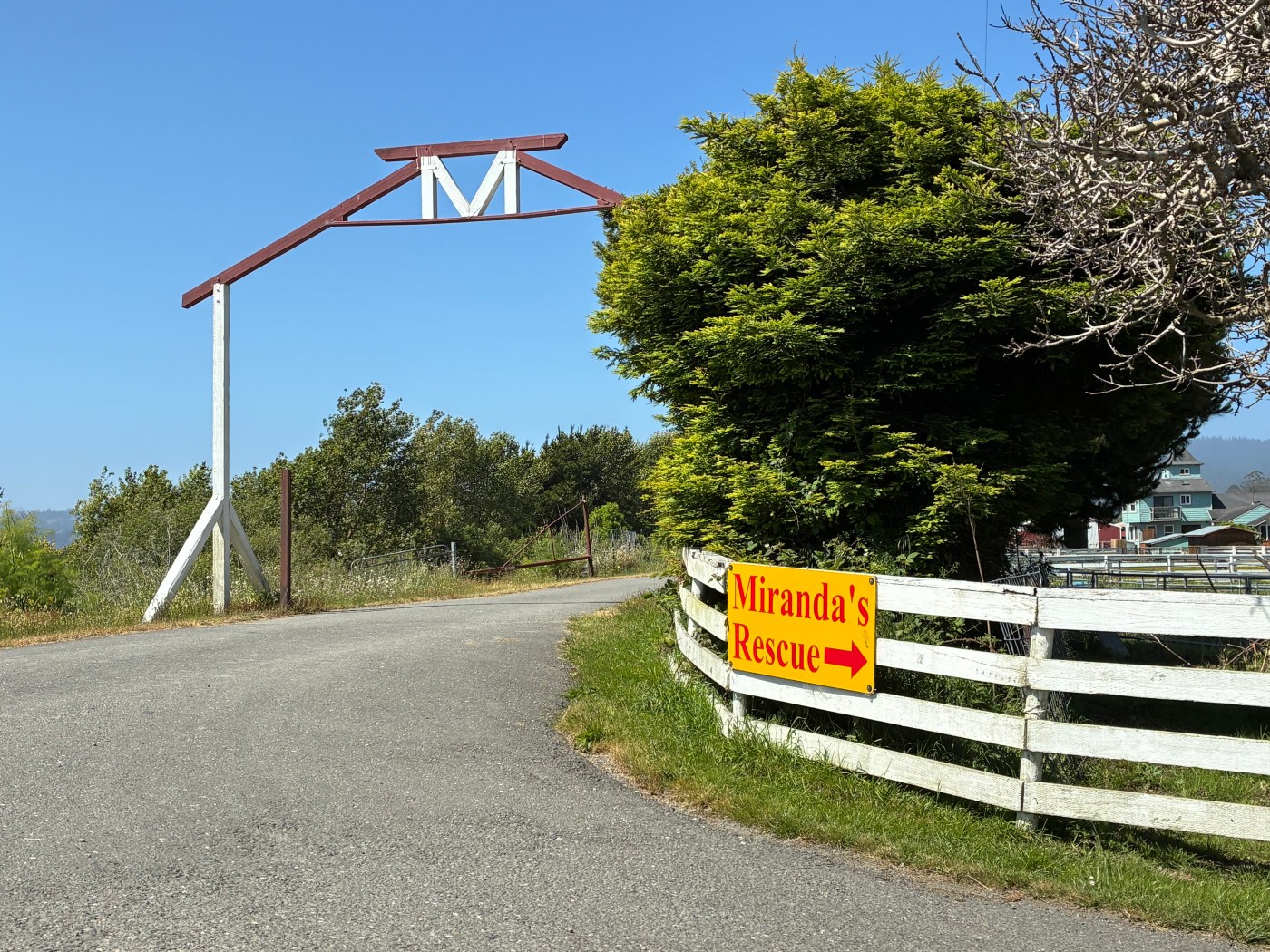 Search warrant alleges Miranda’s Rescue took in 600+ dogs, generated ...