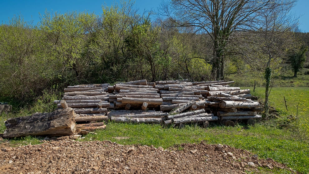 Build your dream log cabin with timeless techniques