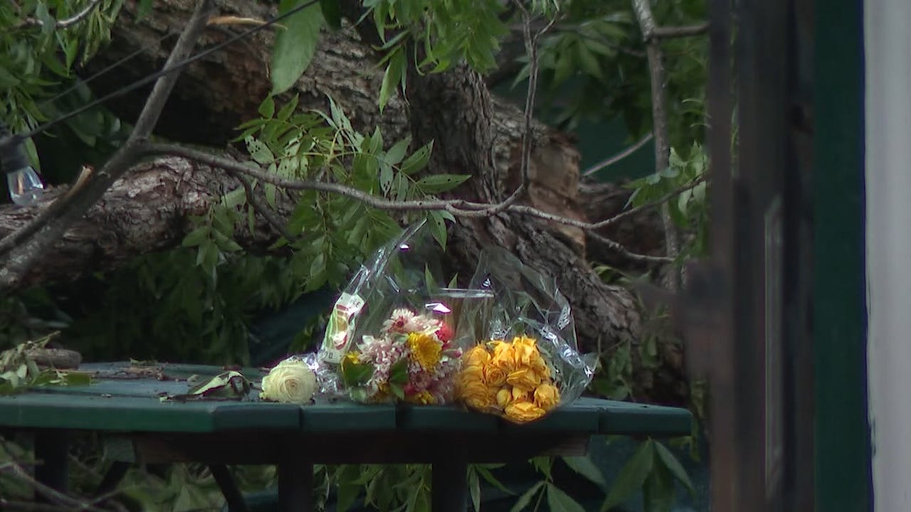 Man dies after being struck by tree hit by lightning on Austin ...
