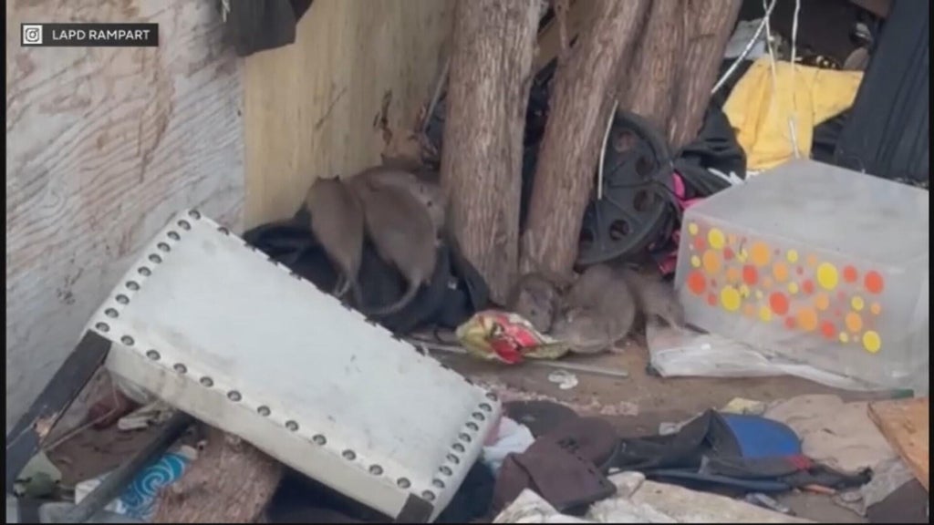 LAPD officers clear rat-infested homeless encampment in Pico Union