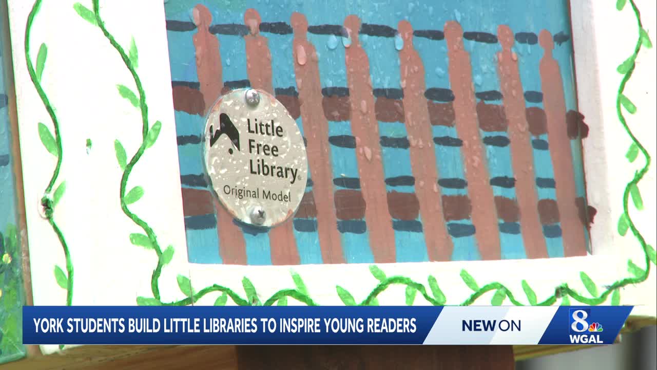 York students build little libraries to boost reading and community ties