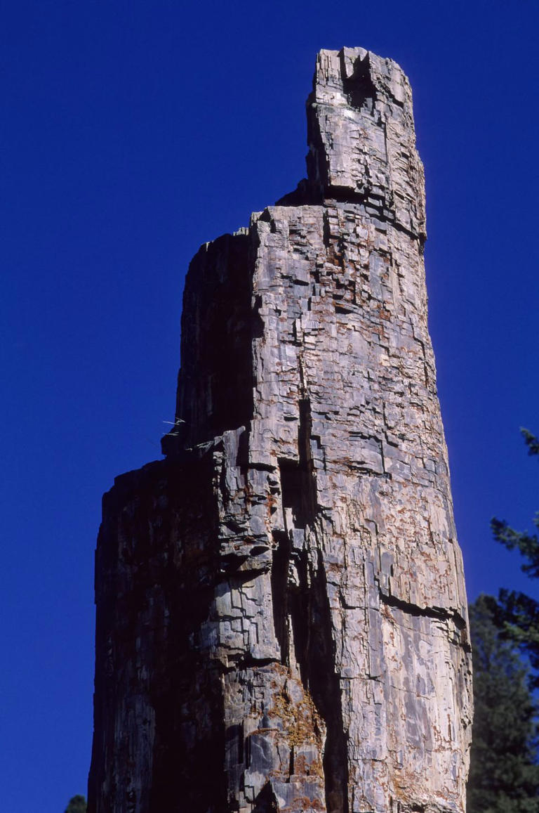 Mysterious fossils found across America could prove Bible story is true ...