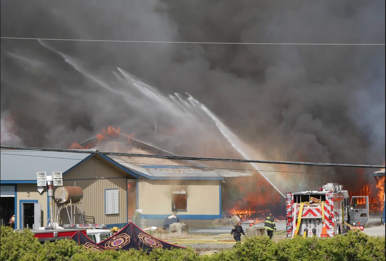 Abbotsford fire destroys 3 barns, thousands of chickens dead: fire crews