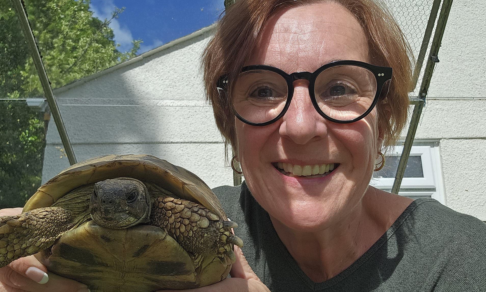 A tortoise that was missing for eight months has been found just 300 ...