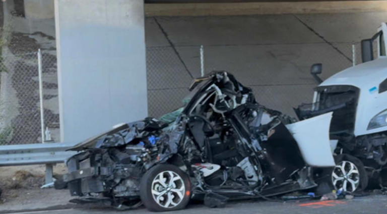 Truck driver arrested after deadly Lodi crash. ICE wants him kept in ...