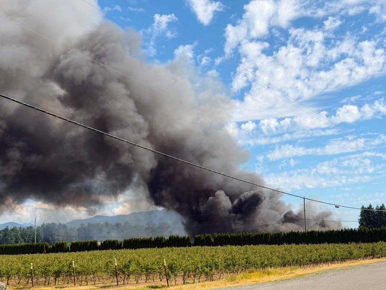 Abbotsford fire destroys 3 barns, thousands of chickens dead: fire crews