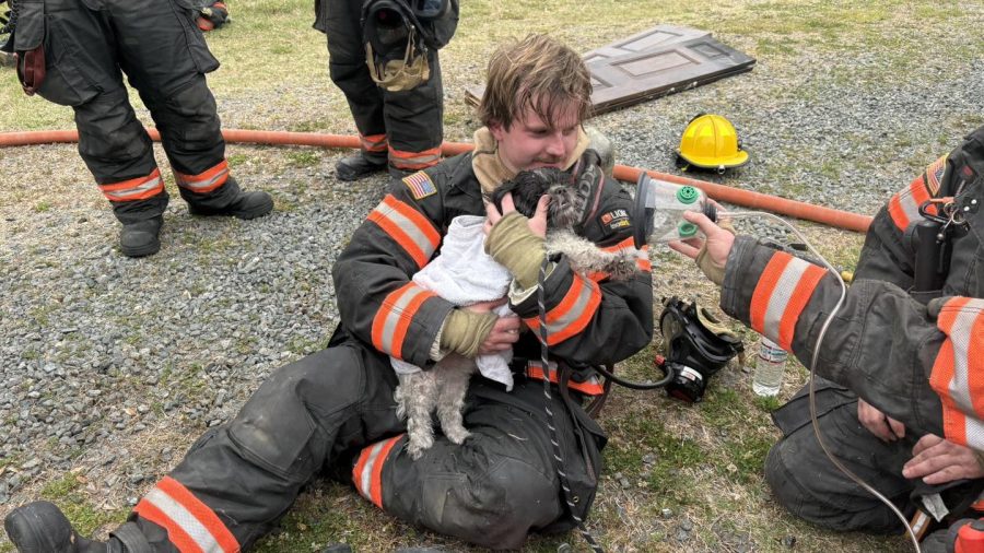 Hanover firefighters rescue small dog from house fire