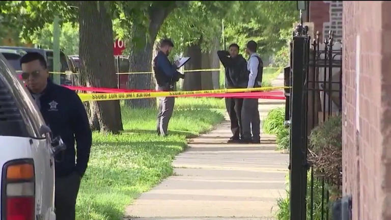 13-year-old boy hospitalized after being shot in the head in South ...