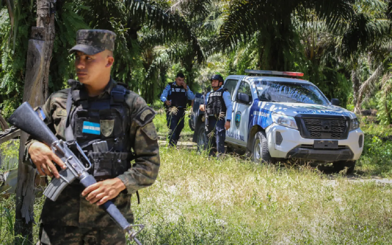 At least 19 dead in Honduras palm farm massacre