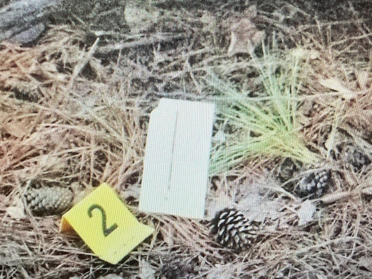 Traffic ticket found at crime scene led police to murdered influencer’s ...