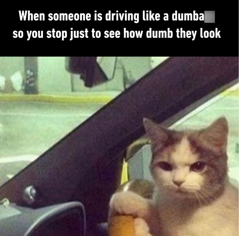 ‘Romance is temporary, the project car is forever’: 23 memes every car ...