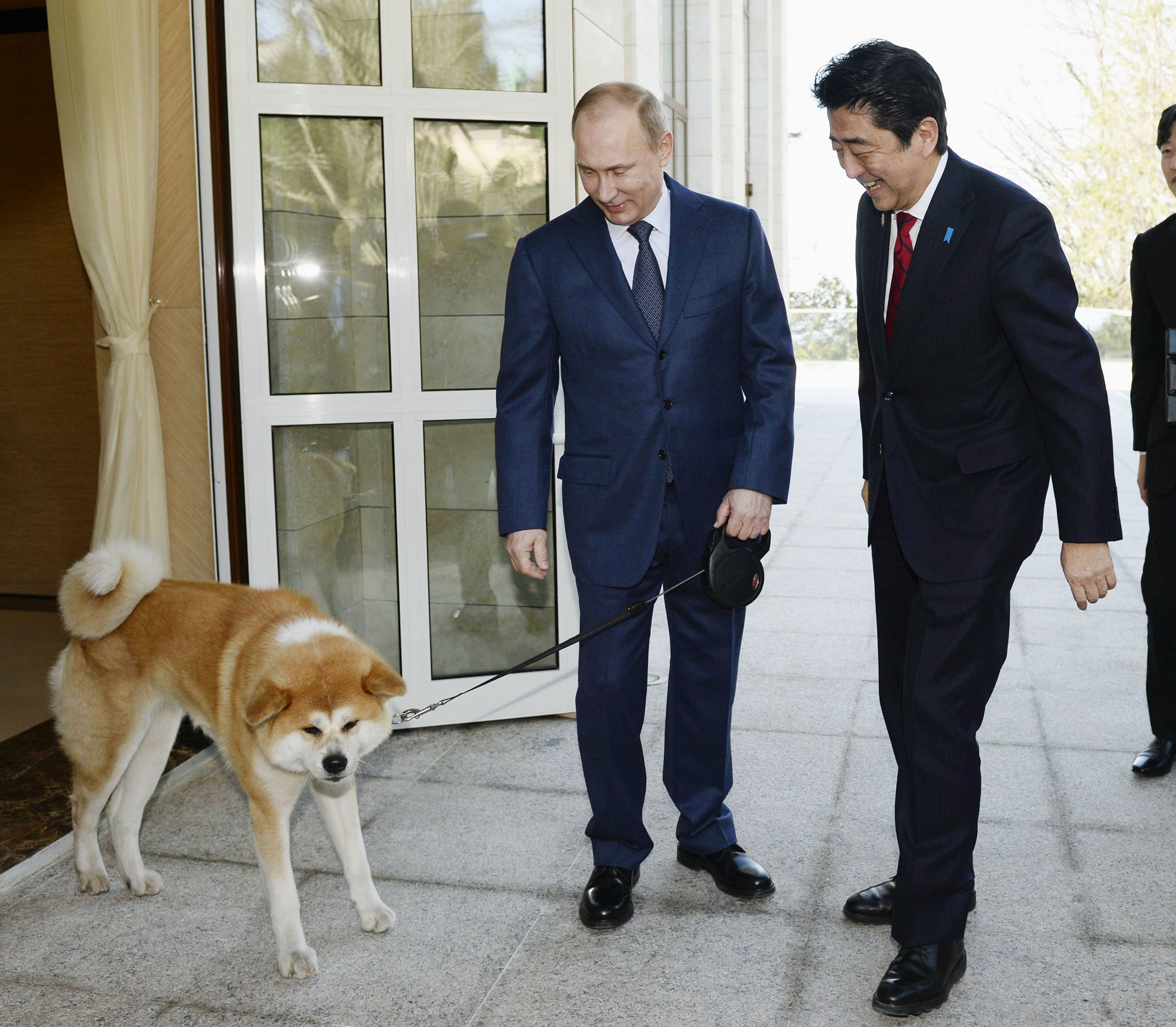 Putin's Akita dog Yume, gifted in 2012 by Japan, died last year of old age
