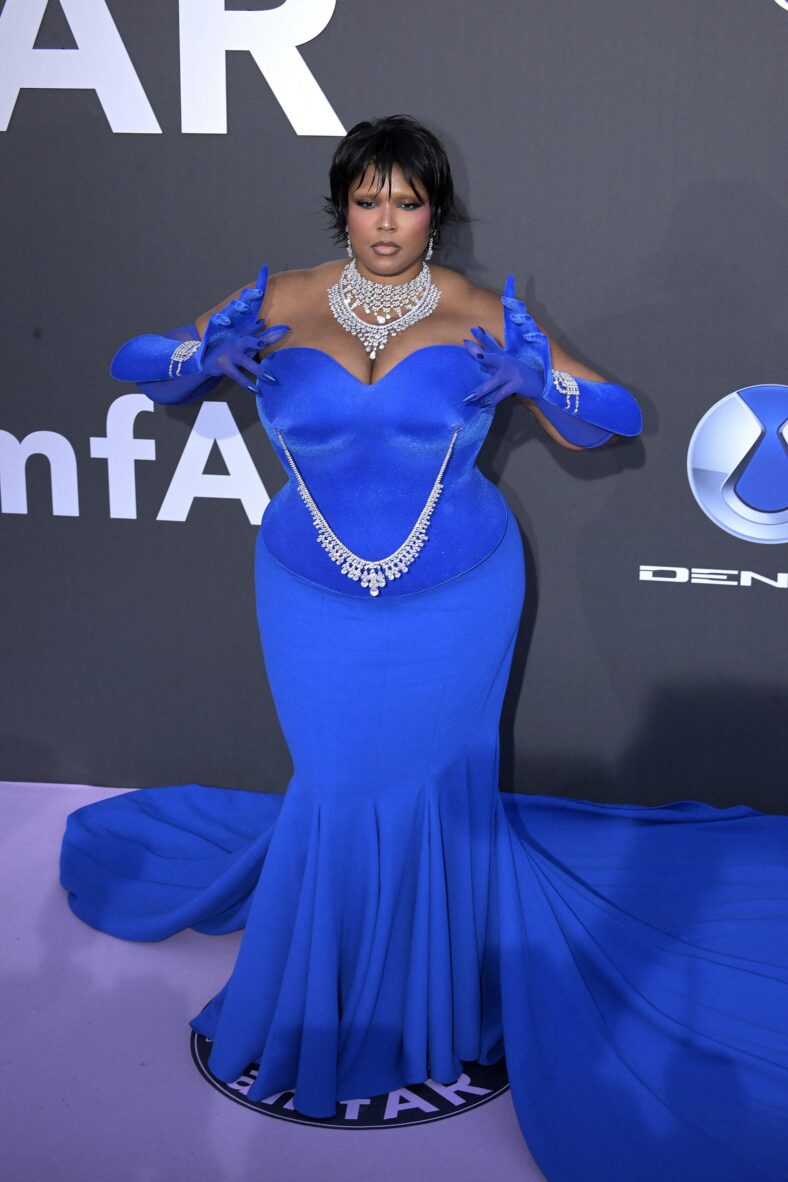 Lizzo accused of ignoring new album after chart failure