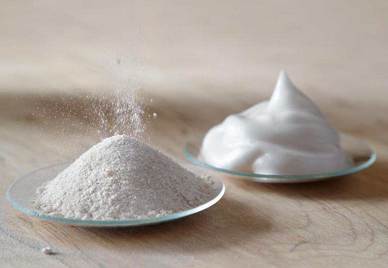 Wie Pilze das Ei für den Kuchen produzieren