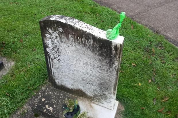 CCTV 'due to be installed' at this Wrexham cemetery amid dog poo found ...