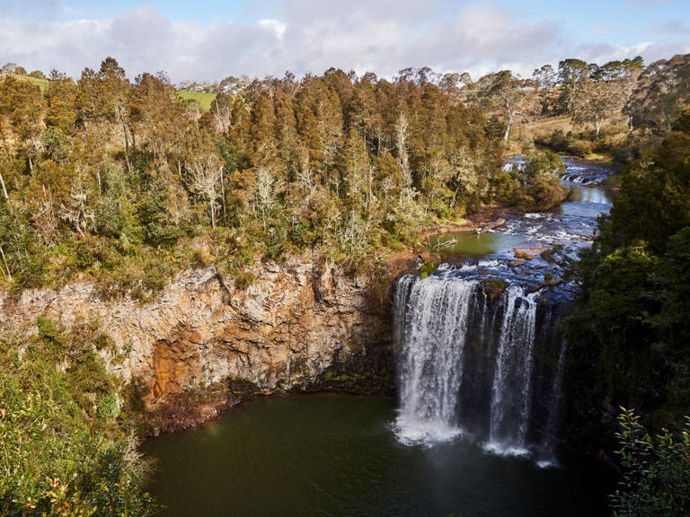 Dorrigo Great Escarpment Walk: A new hike on the Coffs Coast
