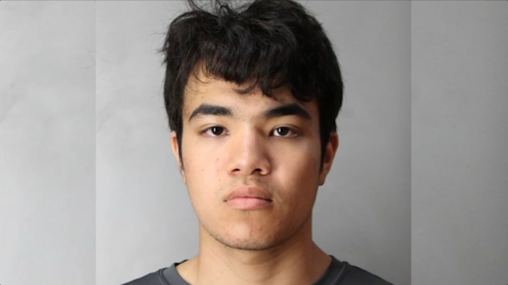 18-year-old tutor accused of sexually abusing girl, 7, at Long Island ...