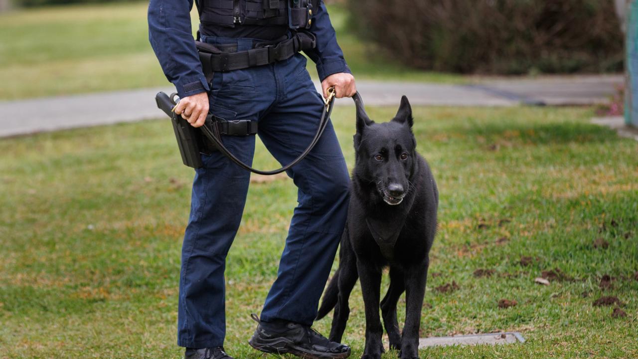 Manhunt underway after alleged break-in