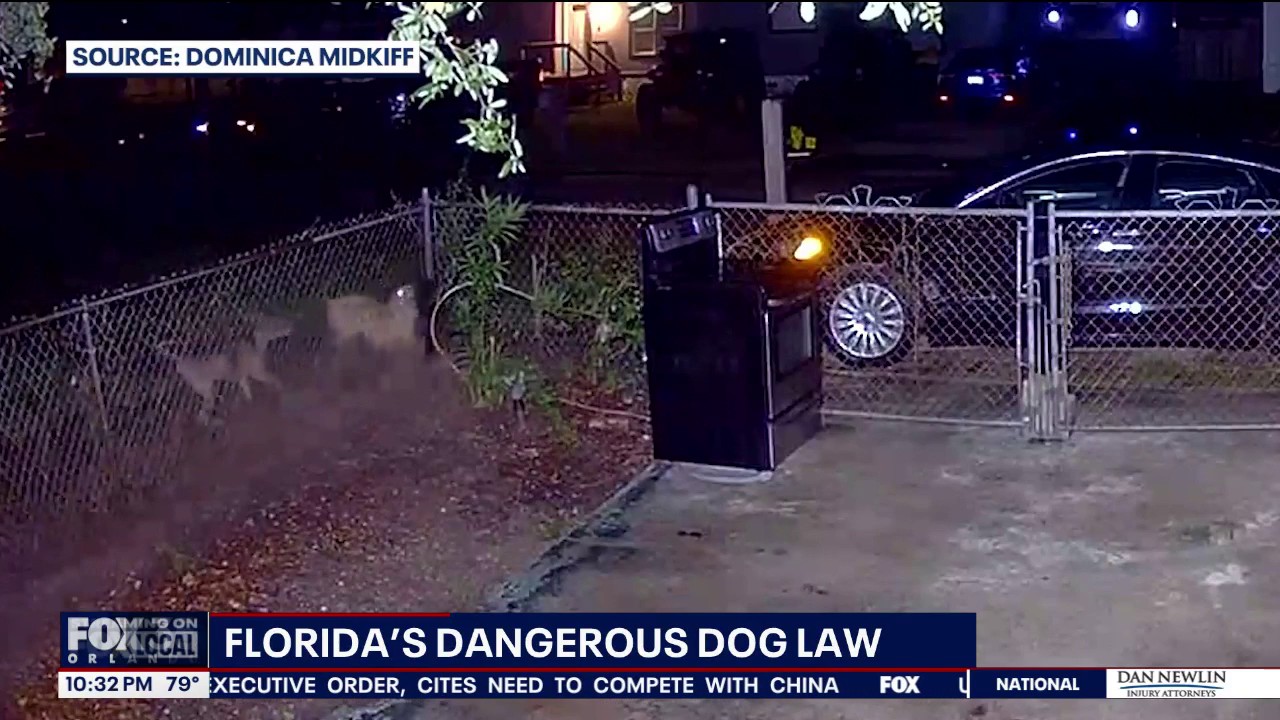 Florida’s tougher dangerous dog laws tested after fatal Cocoa attack