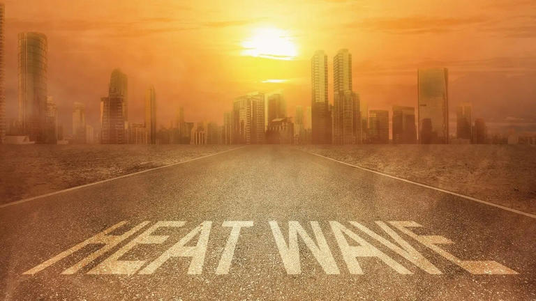 Travel advisory: IMD warns of dangerous heat across these states, and ...