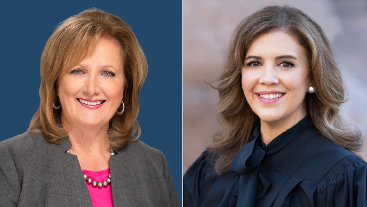 Texas primary runoff election live results: Jane Davis, Luz Elena Chapa ...