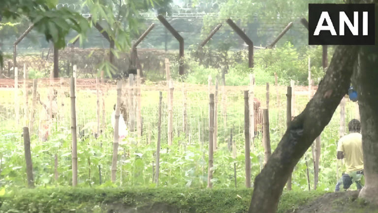 India-Bangladesh border fencing work begins in West Bengal's Siliguri ...