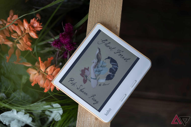 Kobo's price hike on two-year-old e-readers couldn't come at a worse time