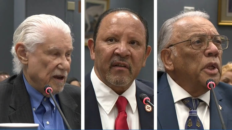 Louisiana House committee advances redistricting plan criticized for ...