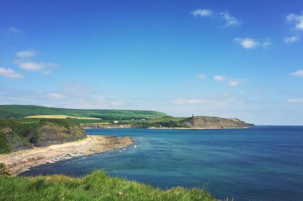 Online conference to address Dorset's housing and nature challenges ...