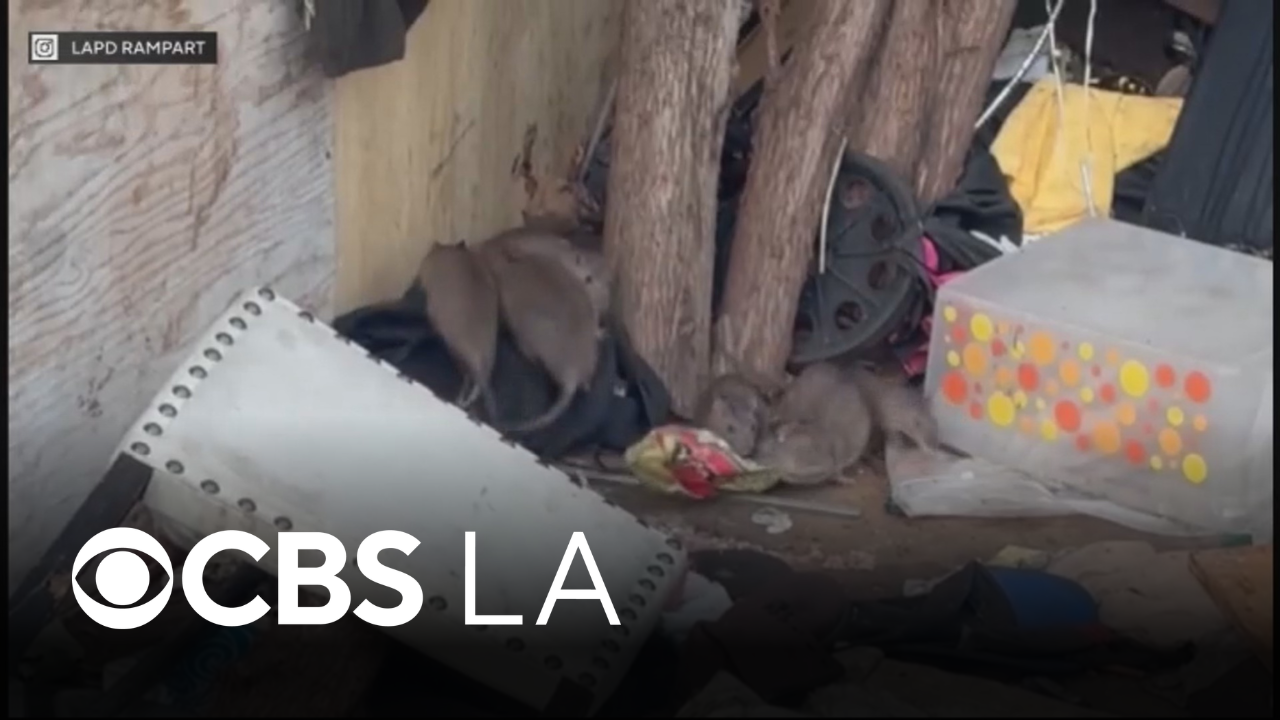 Los Angeles police clear rat-infested homeless encampment in Pico Union