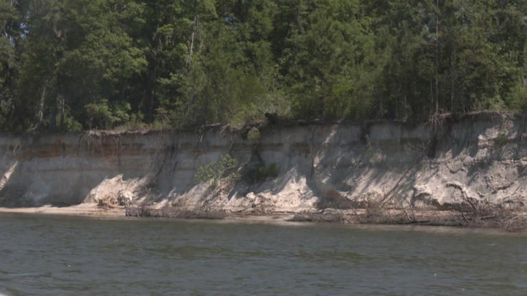 Liberty Co. wastewater plan sparks debate over river discharge