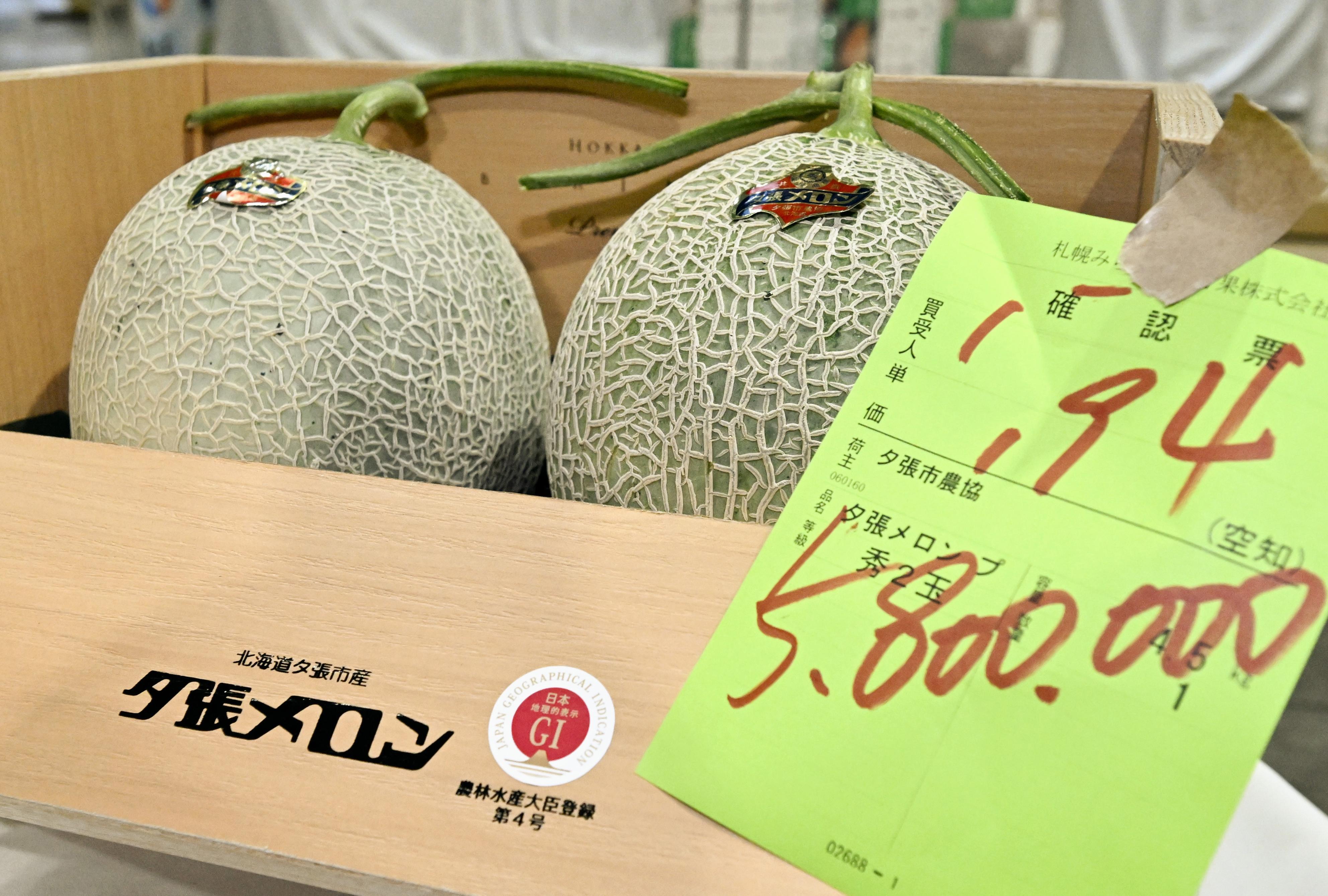 Premium Hokkaido melons fetch record $36,500 at season's 1st auction
