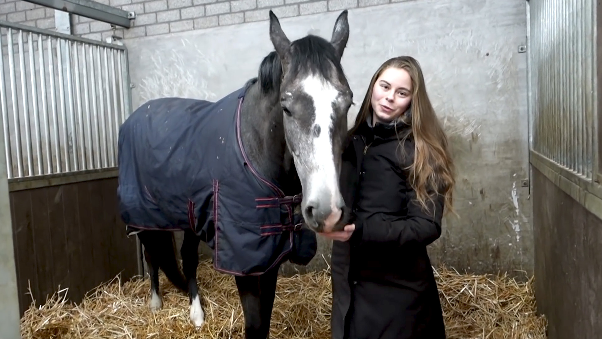 Mijn nieuwe 3,5 jarige paard met atletische bloedlijnen