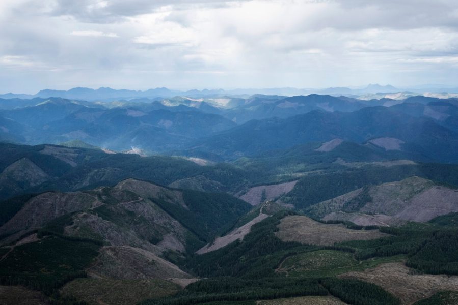 Oregon school district suing over reduced timber revenue will have its ...