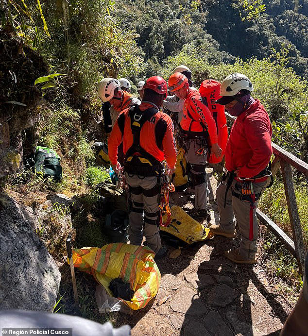Australian man dies after falling through a damaged security barrier on ...
