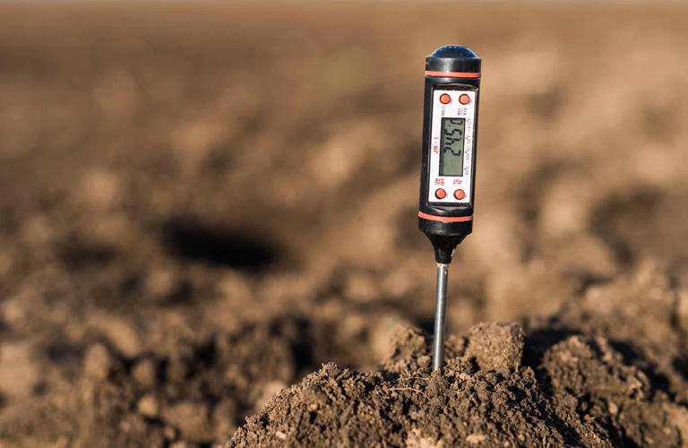 How to read a soil test so your lawn care actually works
