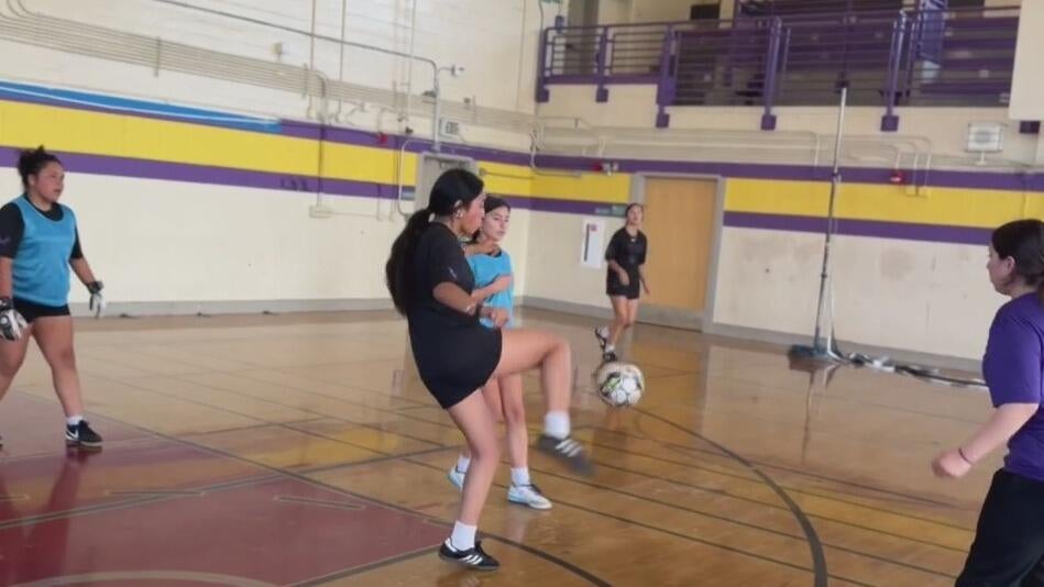 Girls Got Goals San Francisco soccer league ready for World Cup in Bay Area