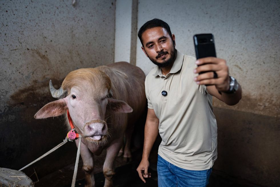 Muslim worshippers to sacrifice 'Donald Trump buffalo' for Eid