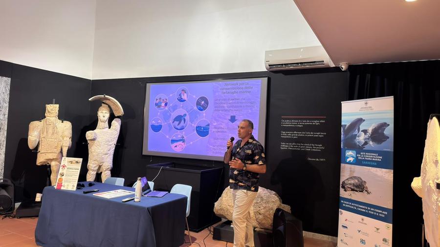 Cabras, la salvaguardia delle tartarughe marine apre i “Giovedì al museo”