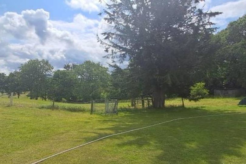 New 'forest' nursery near Somerset cricket club to open in early-2027