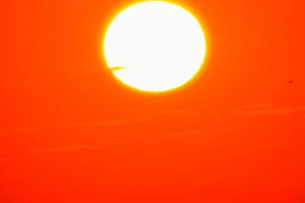 How to beat the heat: Advice from Met Office and Reading Borough Council