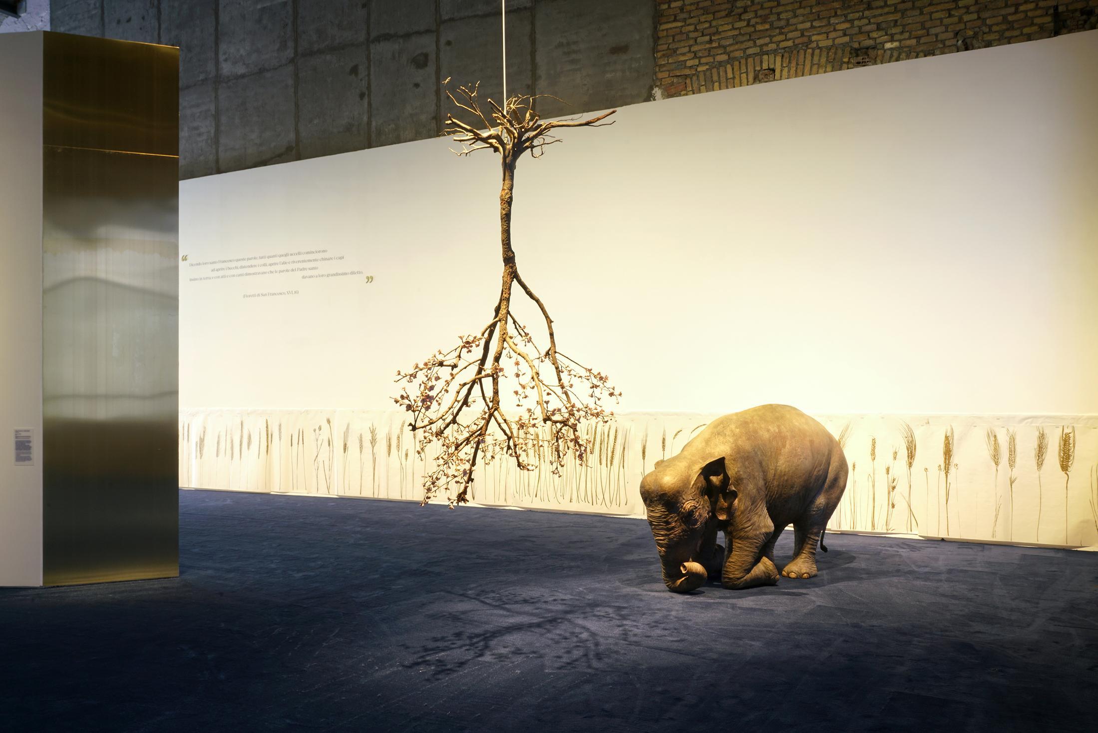 «Creature, creatori». San Francesco ispira l’arte contemporanea