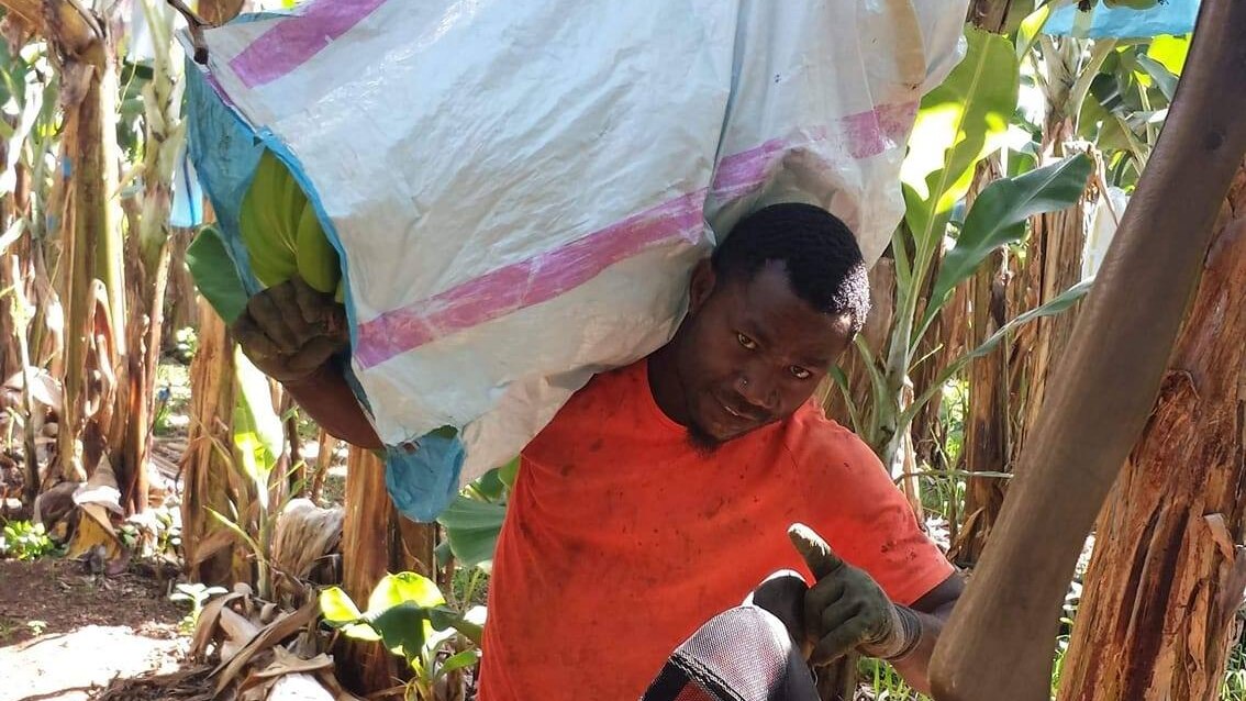 Farm worker John Yalu found not guilty of murdering Kalman Tal in ...