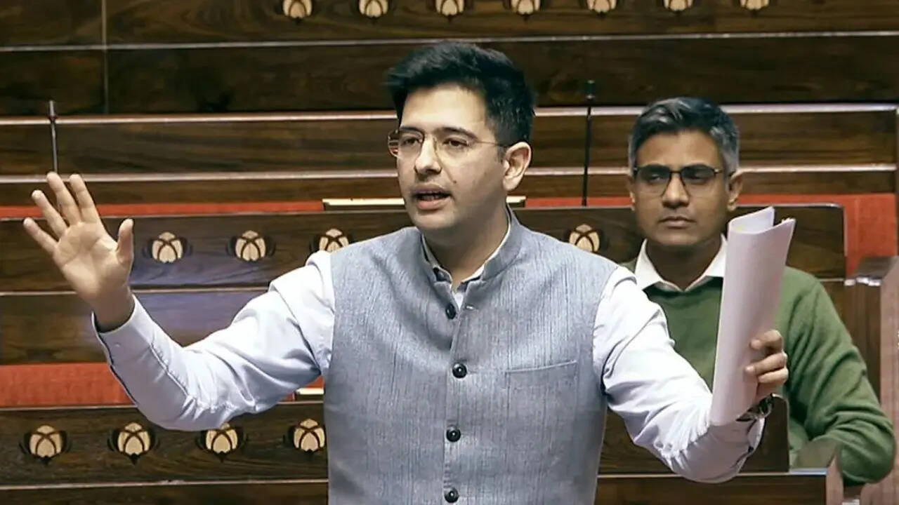 Delhi High Court to Raghav Chadha: A thin line between political ...