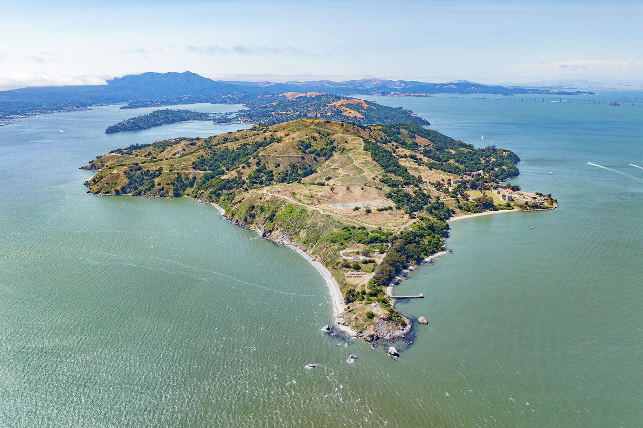 Whales keep dying in San Francisco Bay. Can AI save them?