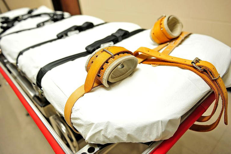 Execution called off for at least a year after staff 'unable to find vein'