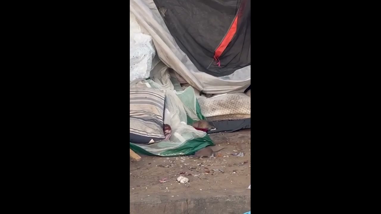 Vile video shows LAPD busting rat-infested homeless encampment